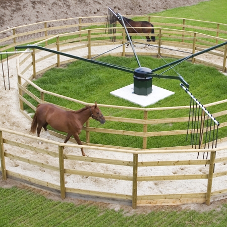 Q-Line | Professional horse exerciser