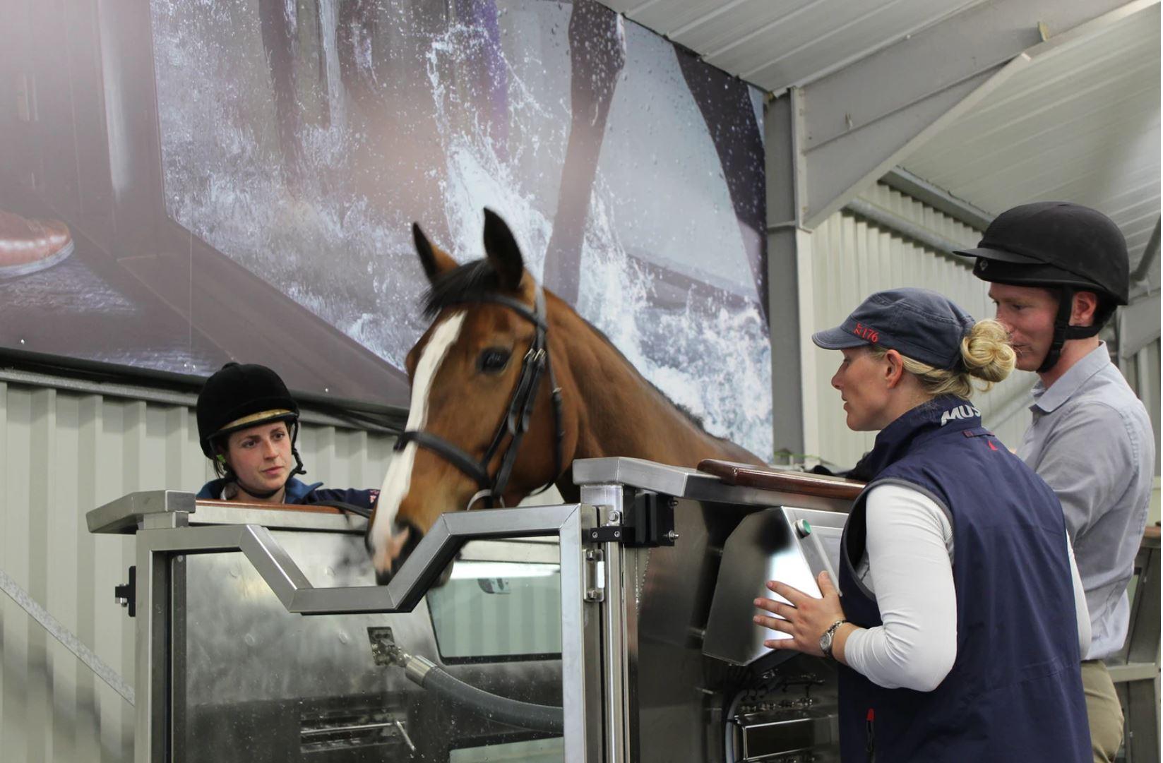 Q-Line Equestrian B.V. | AquaTrainer: Premier Equine Rehabilitation