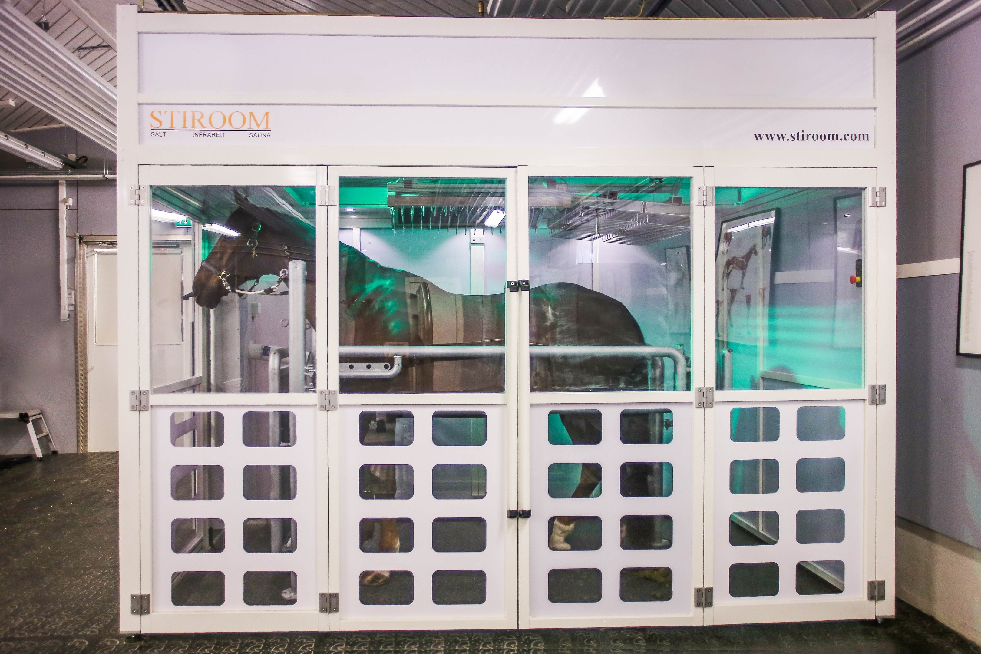 Q-Line | Revolutionary Salt room: Natural Health for Horses
