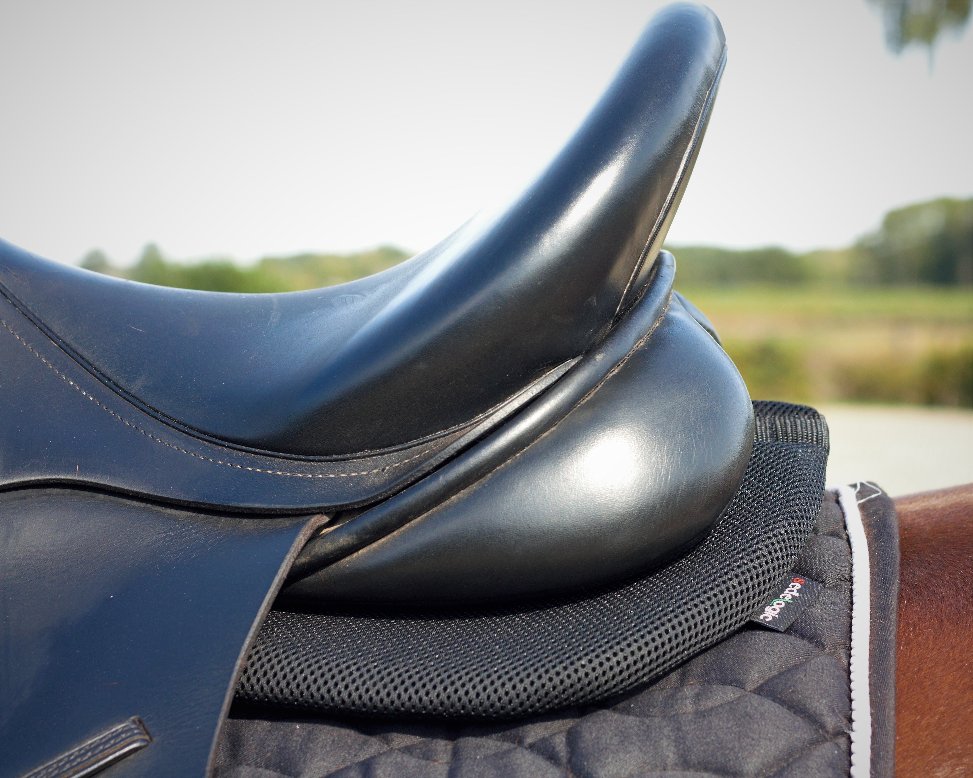 Q-Line | Sedelogic saddle pad with strong pressure reducing…