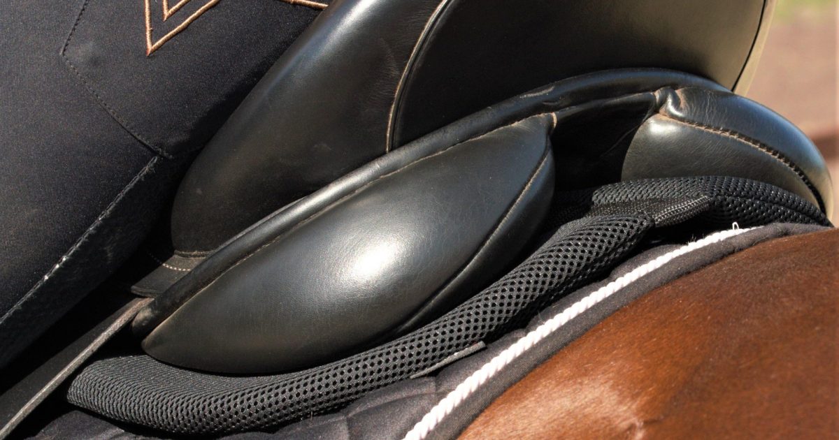 Q-Line | Saddle pads