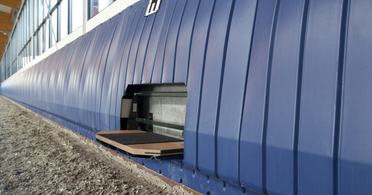 Q-Line | Buy the automatically mounting aid and get on the horse…