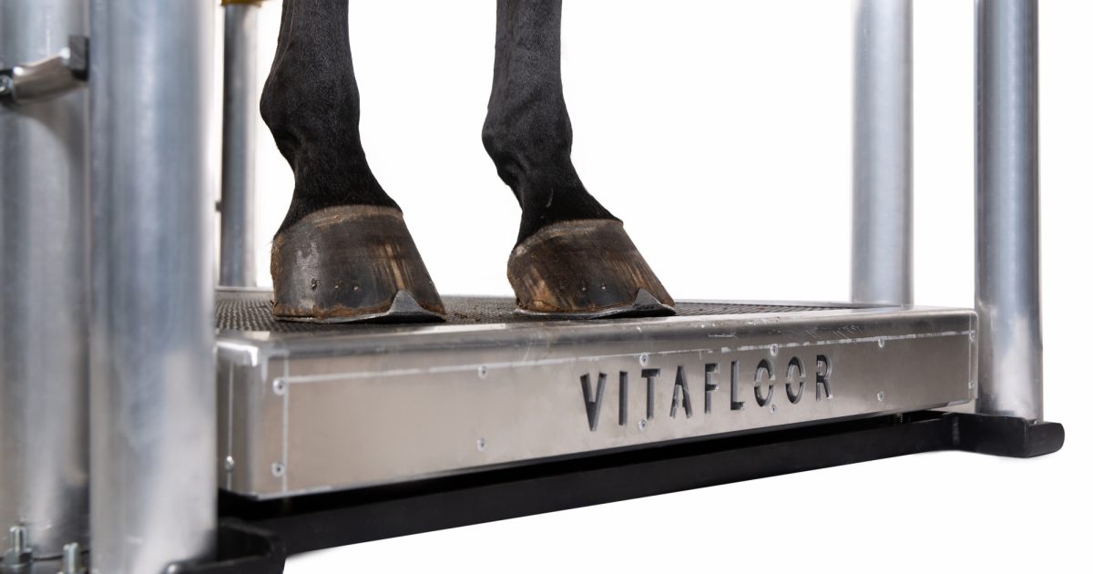 Q-Line | Movable vibration floor for horses